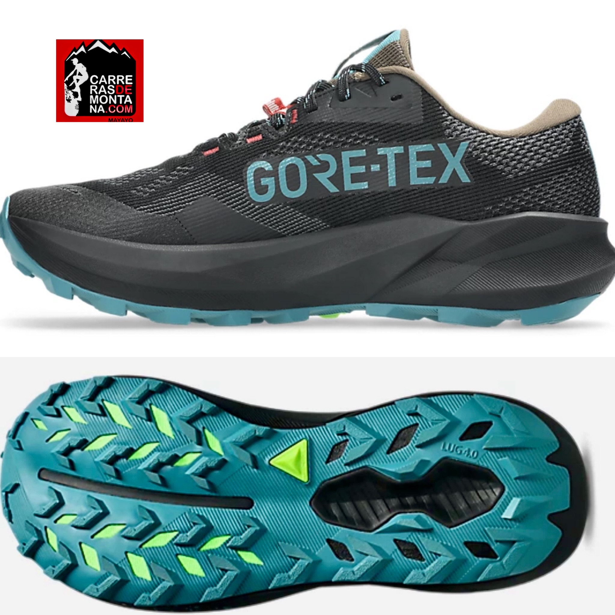 Zapatillas gore tex hombre Asics Trabuco 14 gtx: Análisis Mayayo.